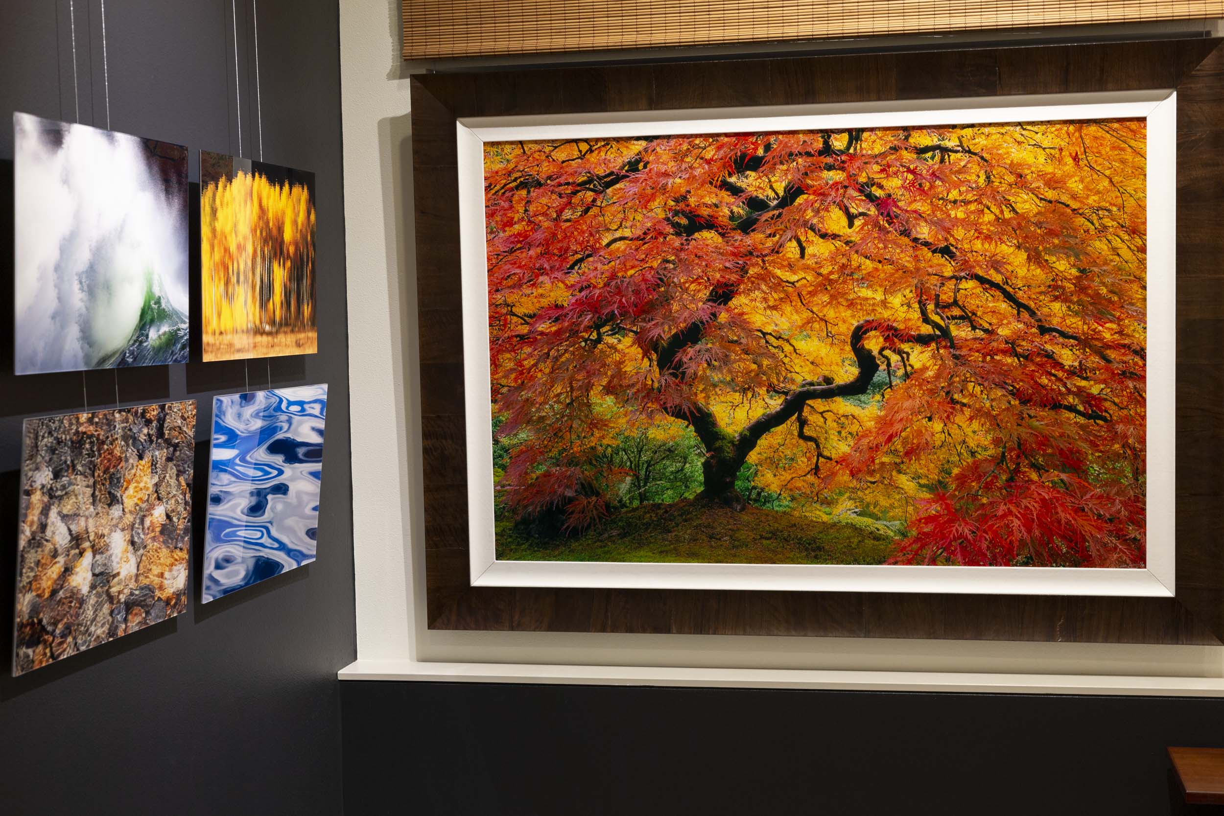 lars_gesing_fine_art_nature_images_gallery-1 – West Seattle Art Walk